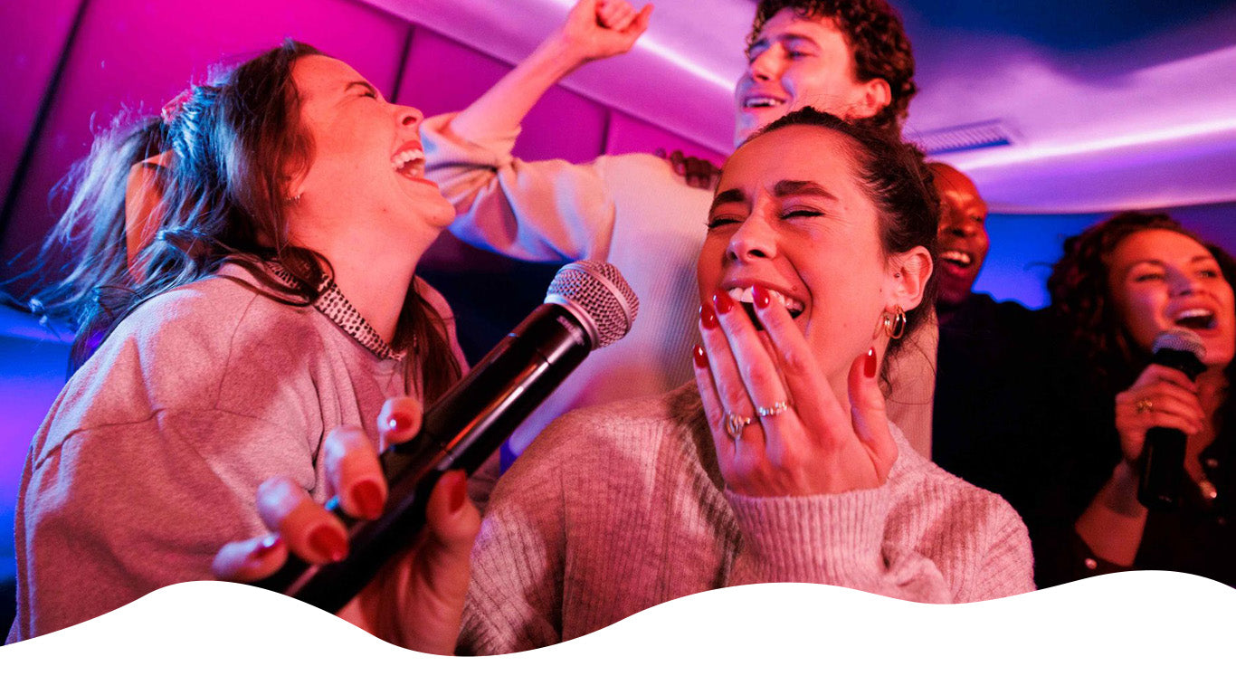 Large Karaoke Hire Systems | Free Delivery | Auckland – Party Sounds